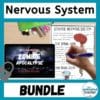 Nervous System Activities Bundle - The Animated Teacher